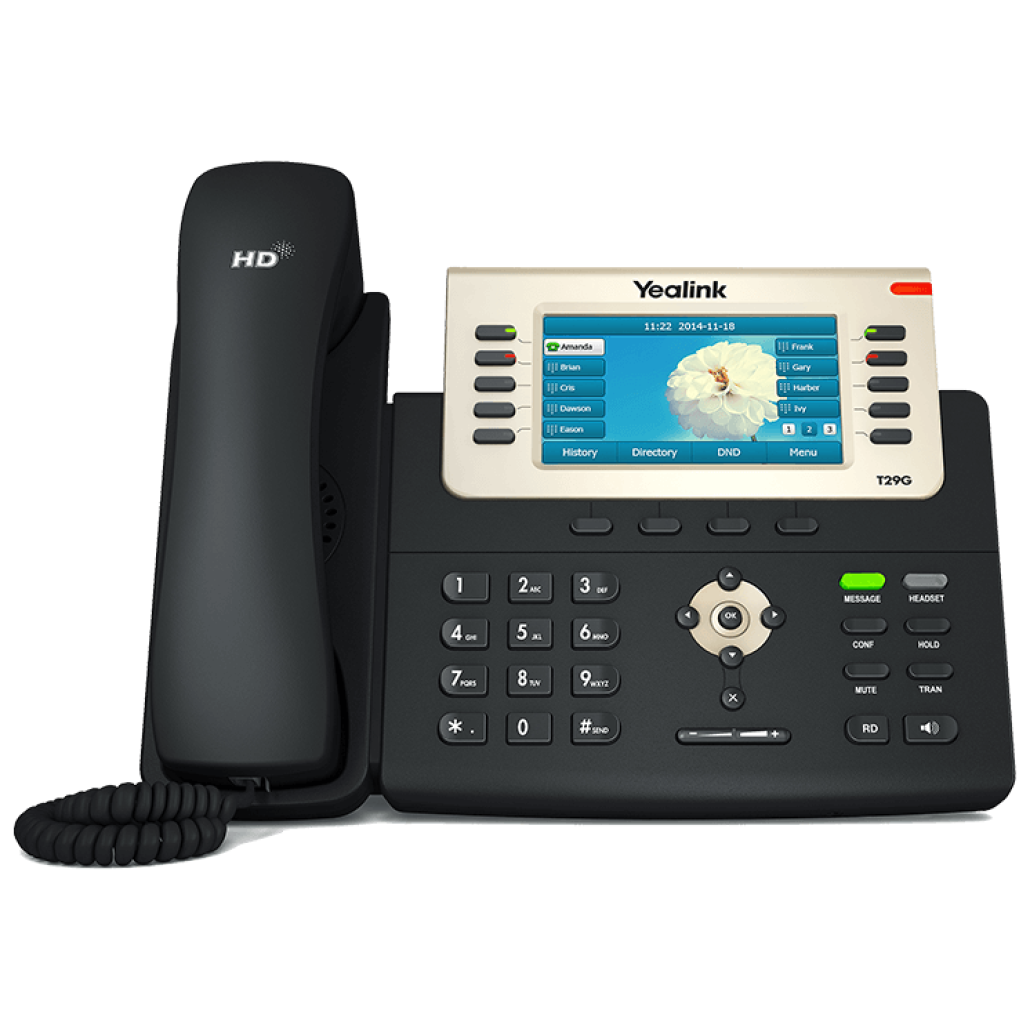 SIP-T29G - Web Technology